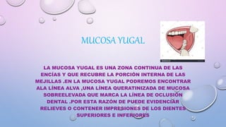 Anatomia De La Cavidad Oral Pptx