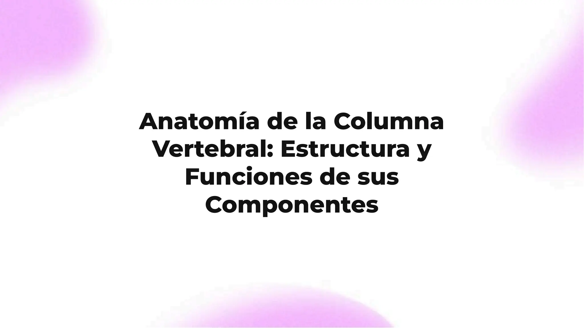 anatomia de la columna vertebral: estructura y funciones de sus ...