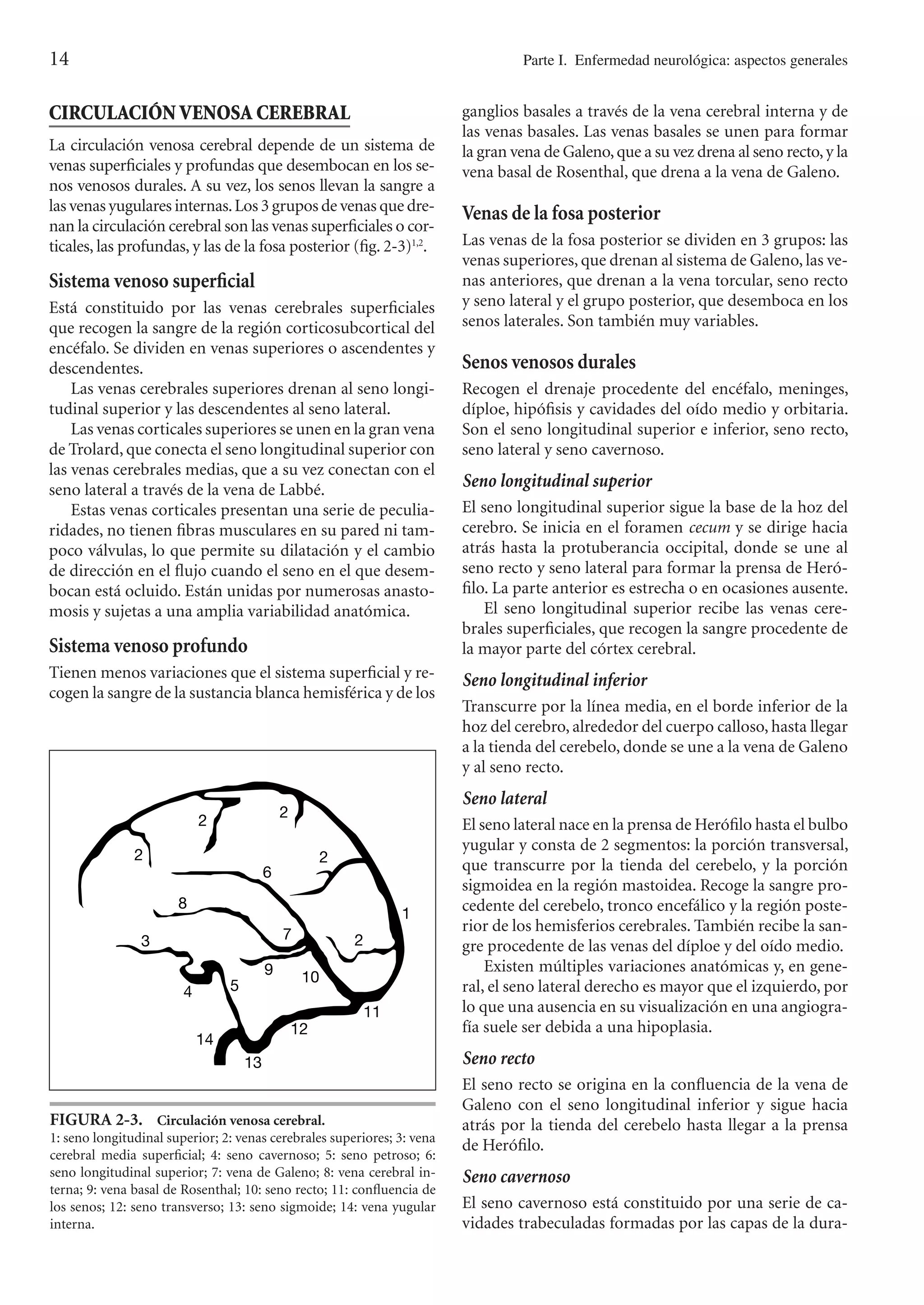 Anatomia de la funcion cerebral | PDF