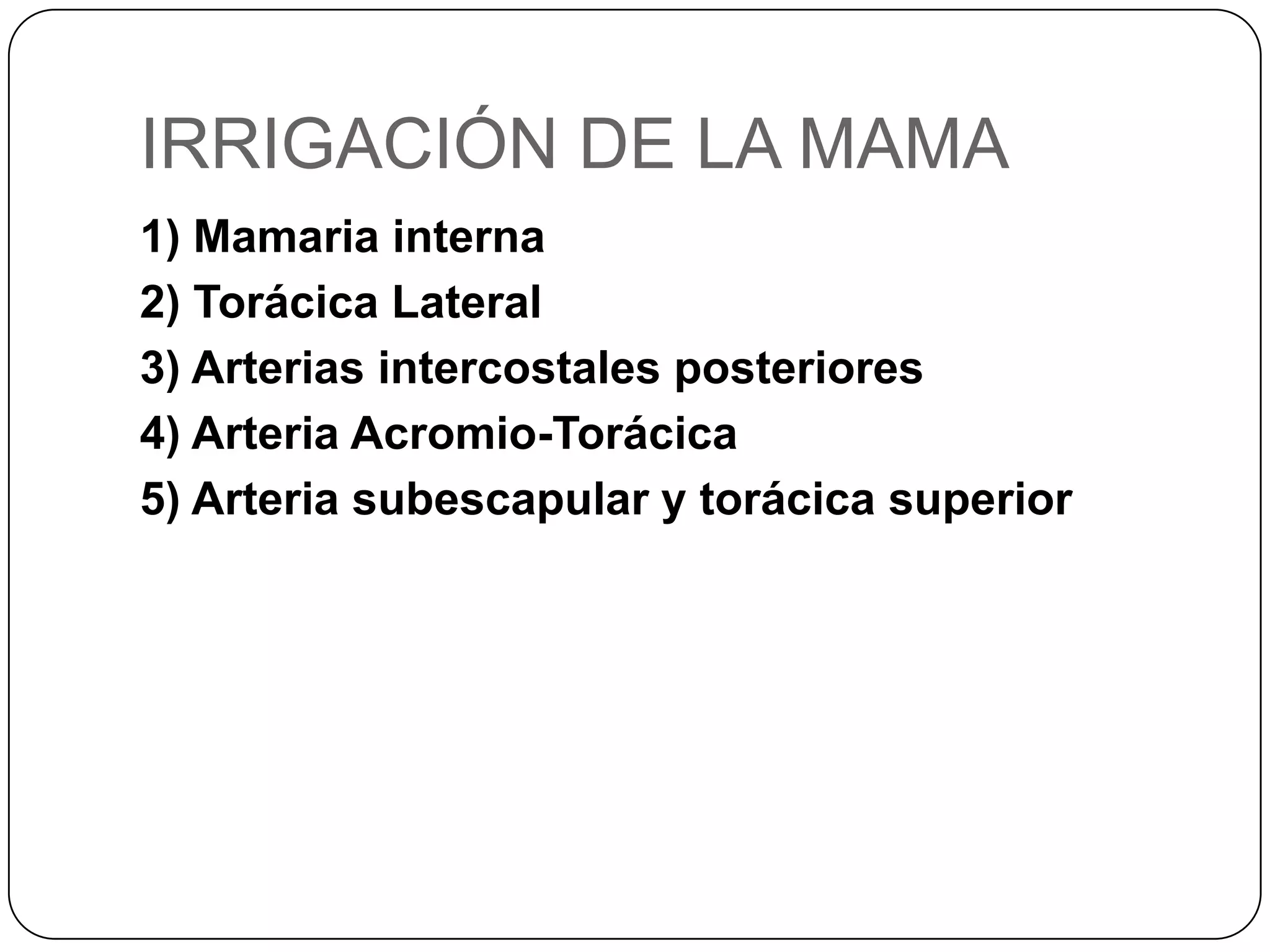Anatomia de la Mama | PPTX