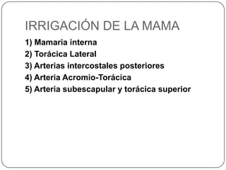 Anatomia de la Mama | PPTX
