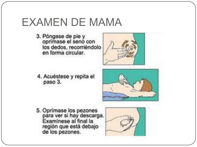 Anatomia de la Mama | PPTX