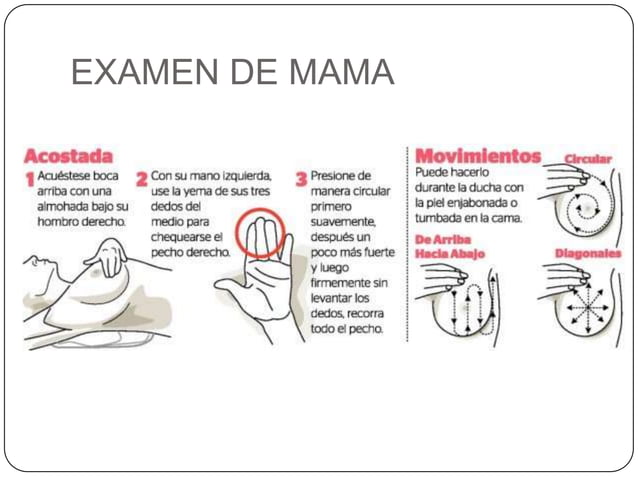 Anatomia de la Mama | PPTX