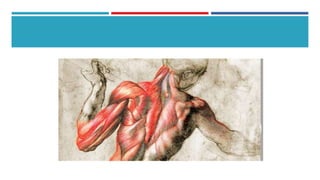Anatomía de la mama y región axilar | PPTX