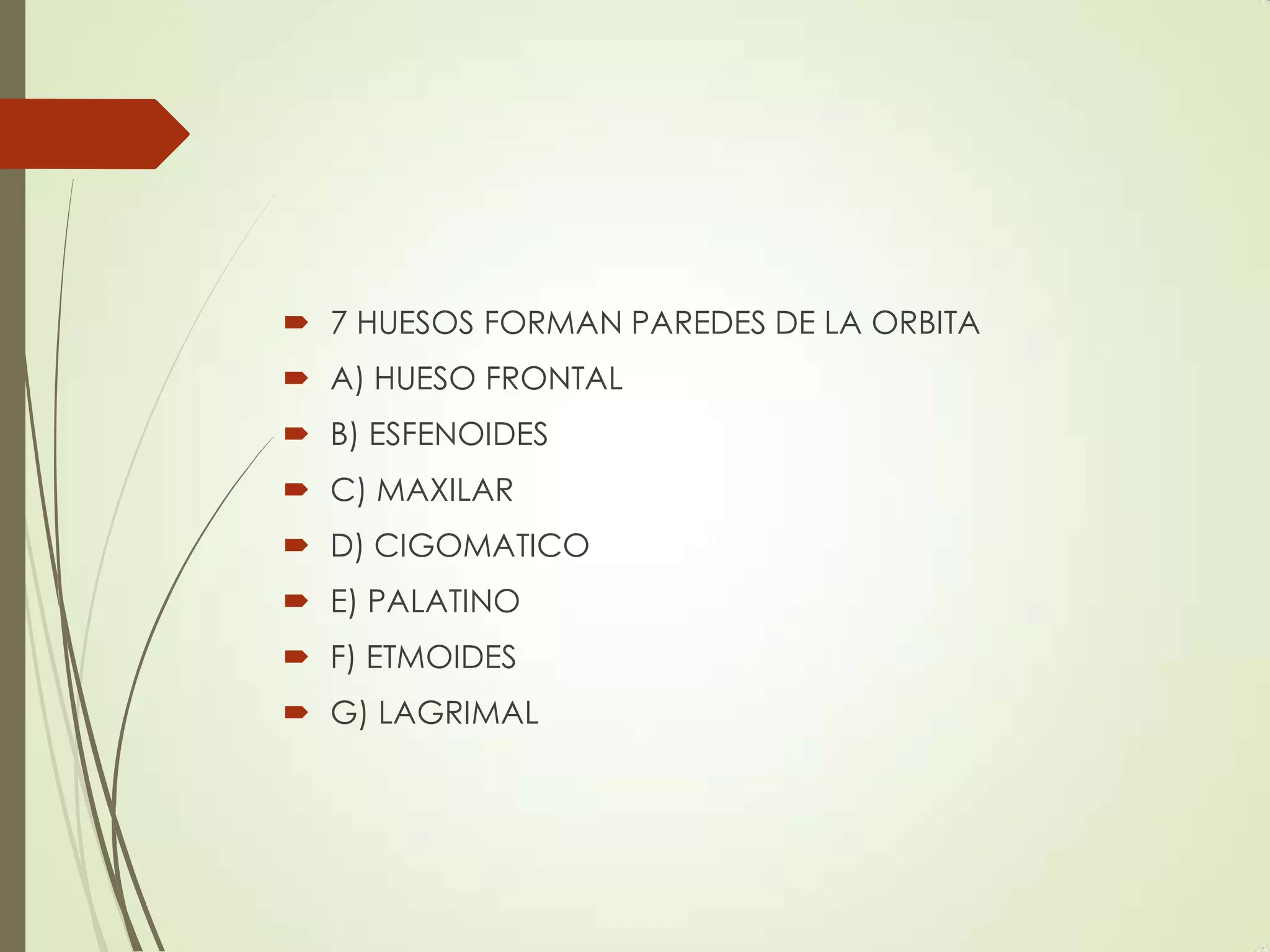 Anatomia de la orbita | PPTX