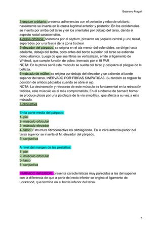 Anatomía detallada de la órbita ocular y estructuras asociadas | PDF