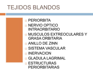 Anatomia de la orbita ocp | PPTX
