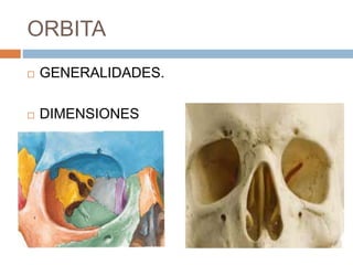Anatomia de la orbita ocp | PPTX