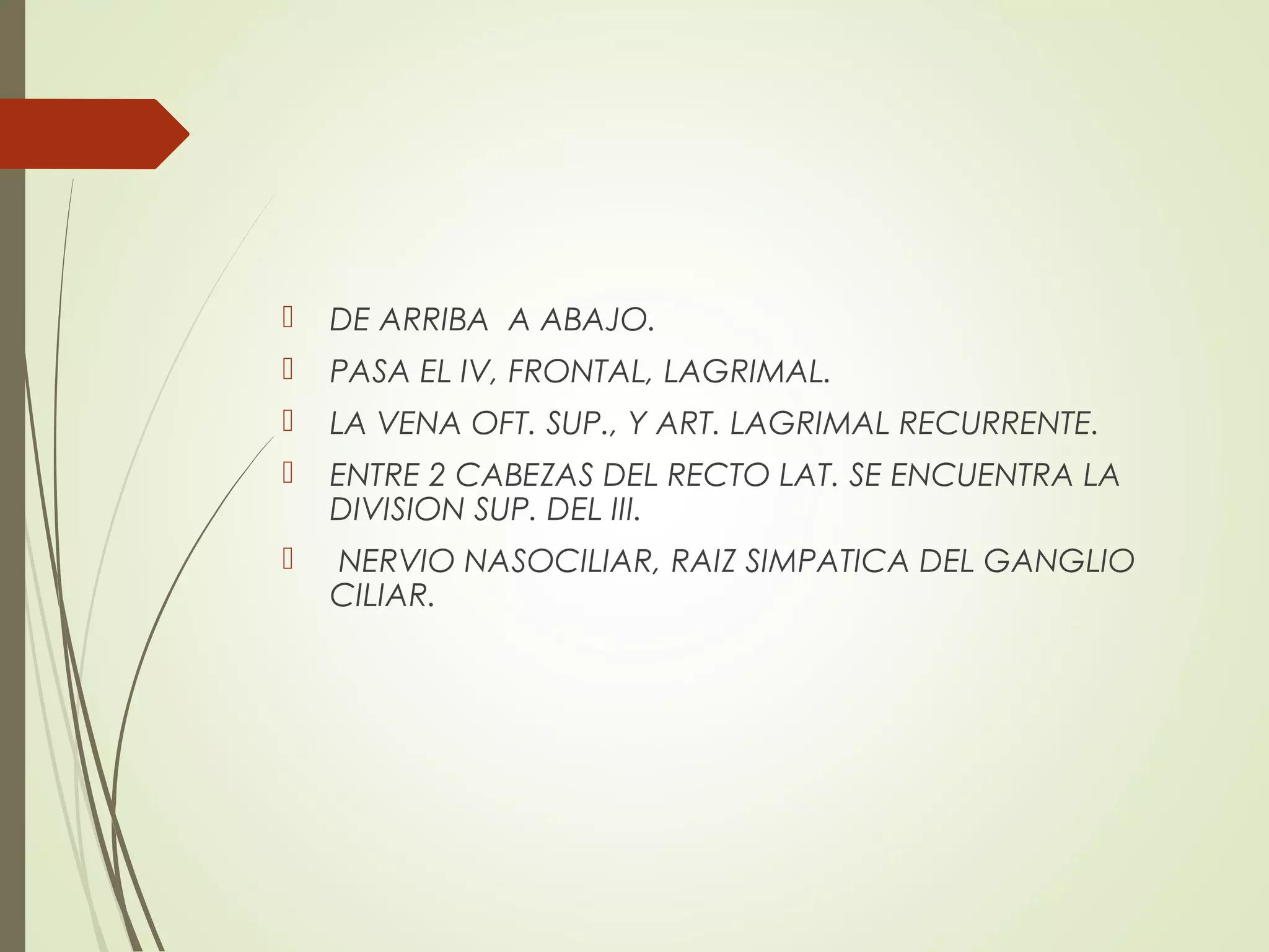 Anatomia de la orbita para residentes parte 2 | PPT