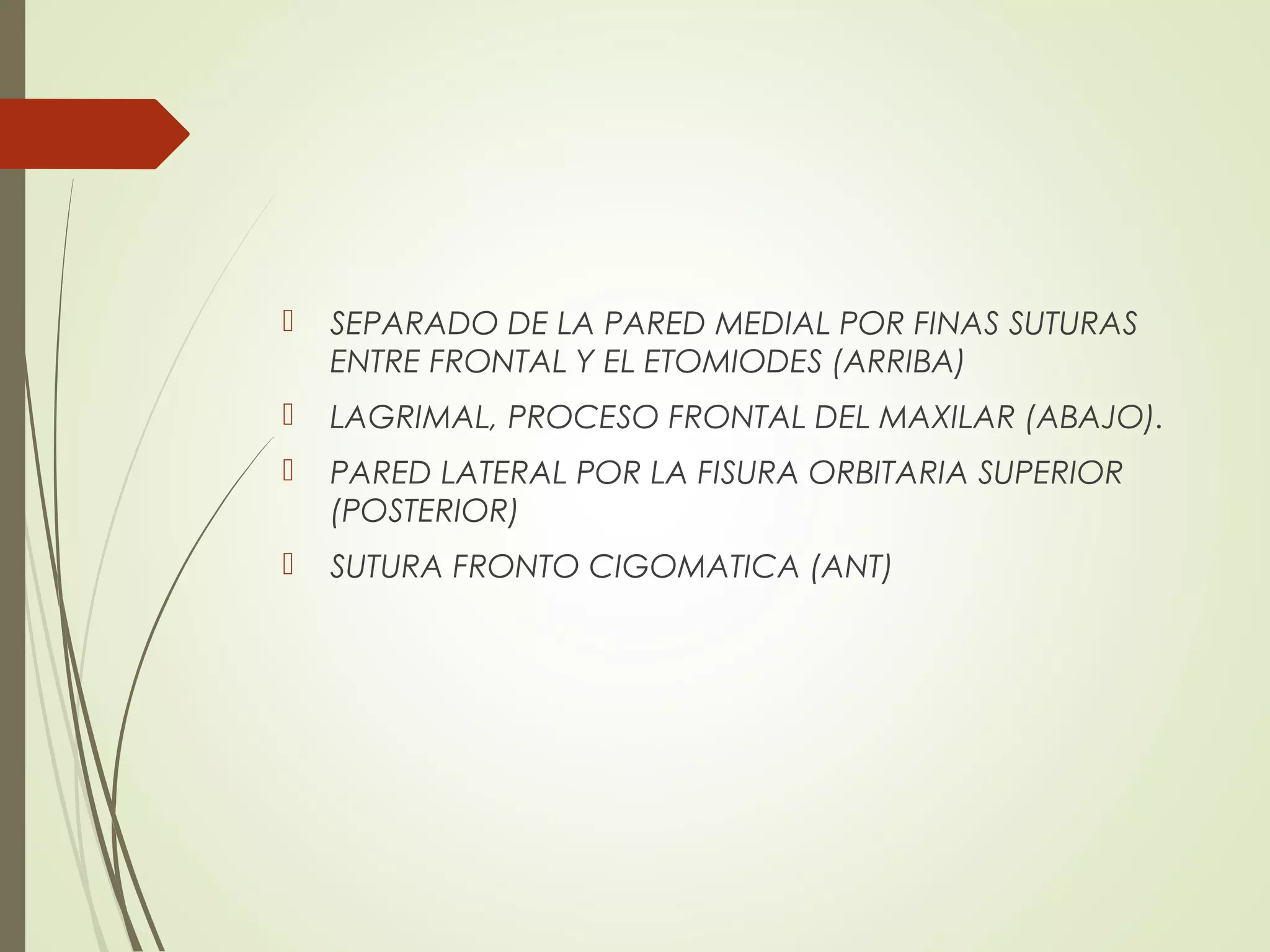 Anatomia de la orbita para residentes parte 2 | PPT