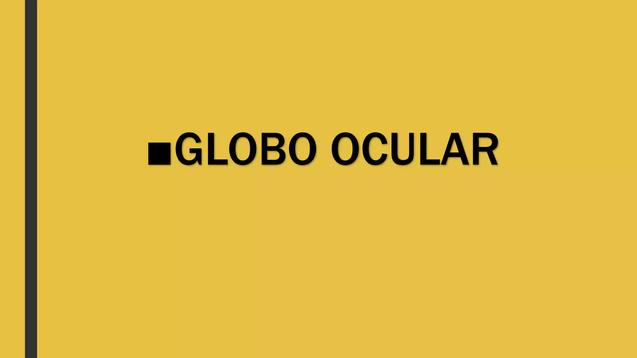 Anatomia de la orbita y sus componentes. | PPT