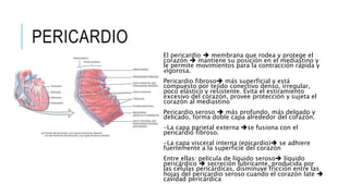 ANATOMIA DEL APARATO CARDIOVASCULAR.pptx