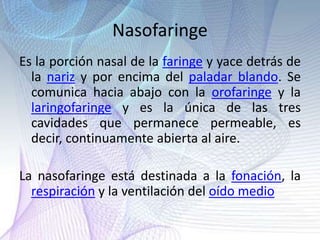 Anatomia del aparato digestivo | PPTX