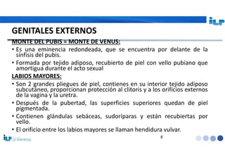 ANATOMIA DEL APARATO REPRODUCTOR FEMENINO.pdf