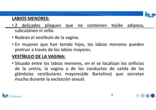 ANATOMIA DEL APARATO REPRODUCTOR FEMENINO.pdf