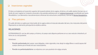 ANATOMIA DEL APARATO REPRODUCTOR FEMENINO (1).pdf