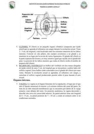 ANATOMIA DEL APARATO REPRODUCTOR FEMENINO CLASE 3.docx