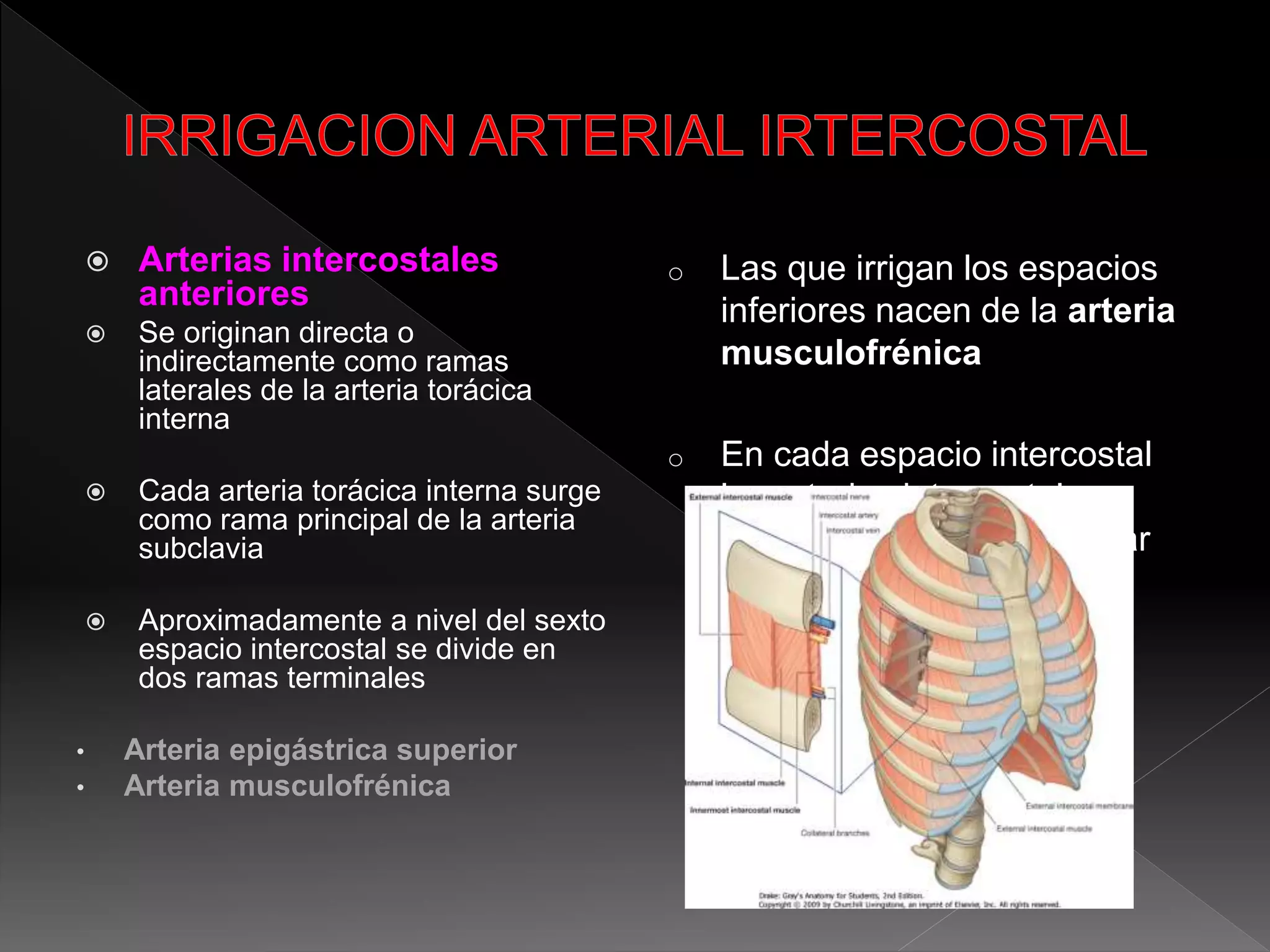 ANATOMIA DE LA PARED TORACICA JUAN.pptx