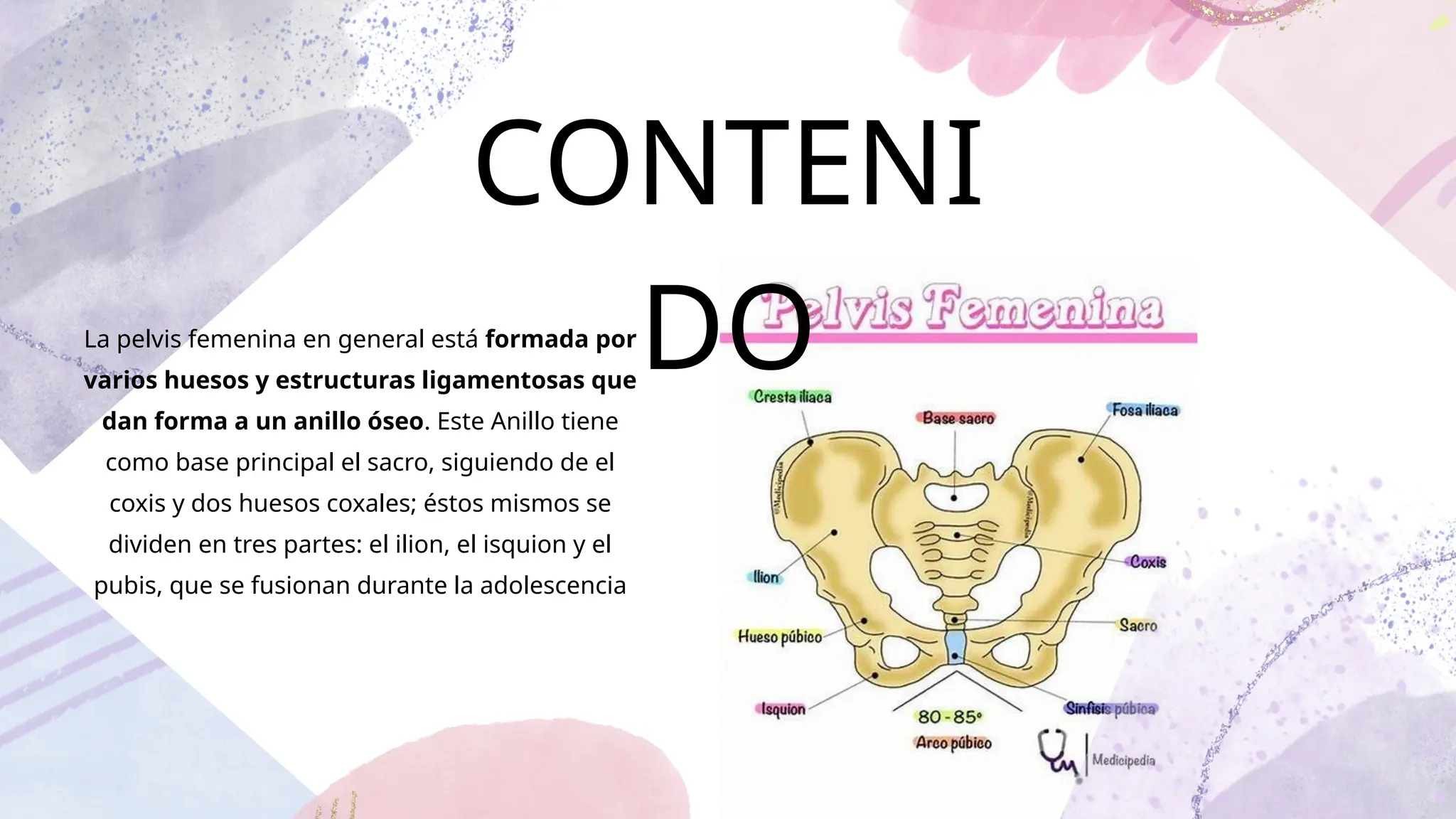 anatomia de la pelvis femenina y tipos de pelvis | PPTX