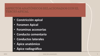 ANATOMÍA DEL APICE radicular. Presentación | PDF