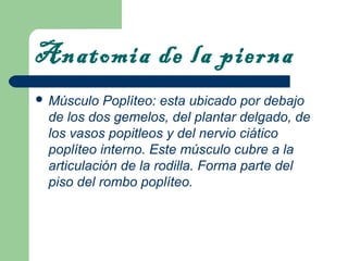 Anatomia de la pierna | PPT
