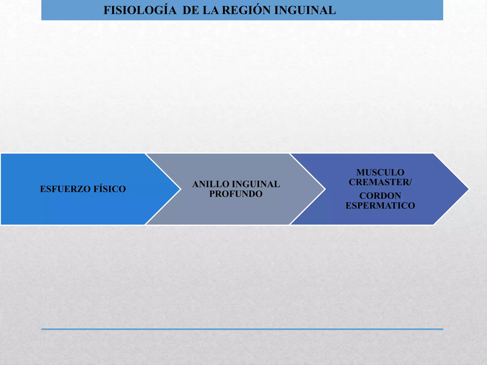 ANATOMIA DE LA REGION INGUINAL .ppt
