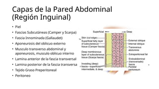 Anatomia Basica de la Region Inguinal.pptx