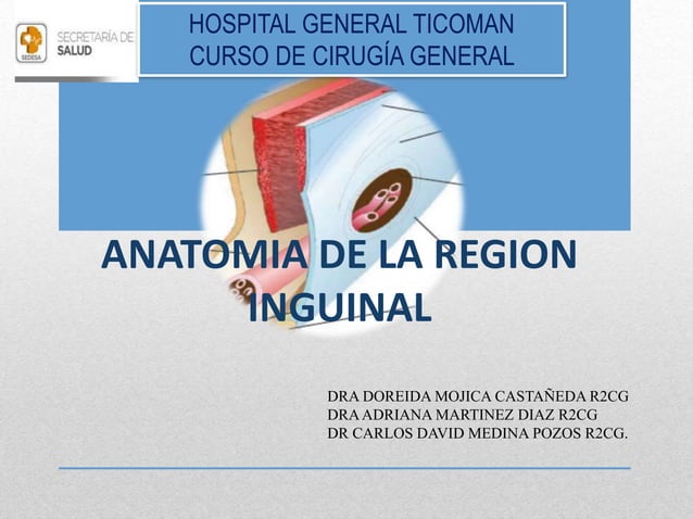 Anatomía De La Región Inguinal: Vídeo – PEMPAW