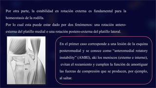 Anatomia de la rodilla Traumatología.pptx