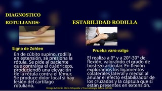 Anatomia de la rodilla Traumatología.pptx