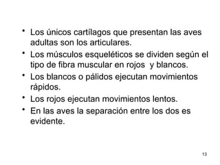 Anatomia de las Aves - Para Veterinaria.pptx