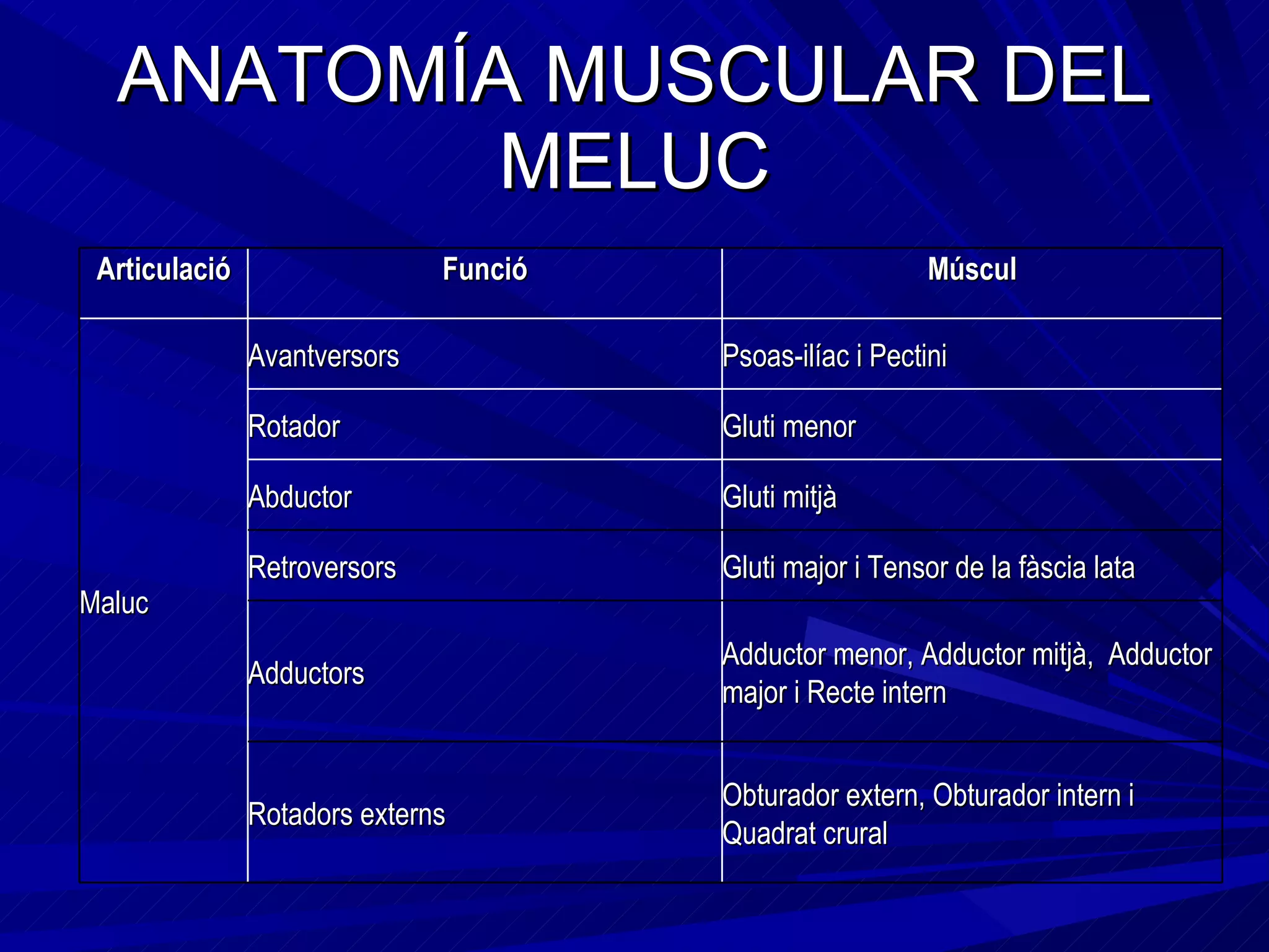 Anatomia de las extremidades inferiores | PPT