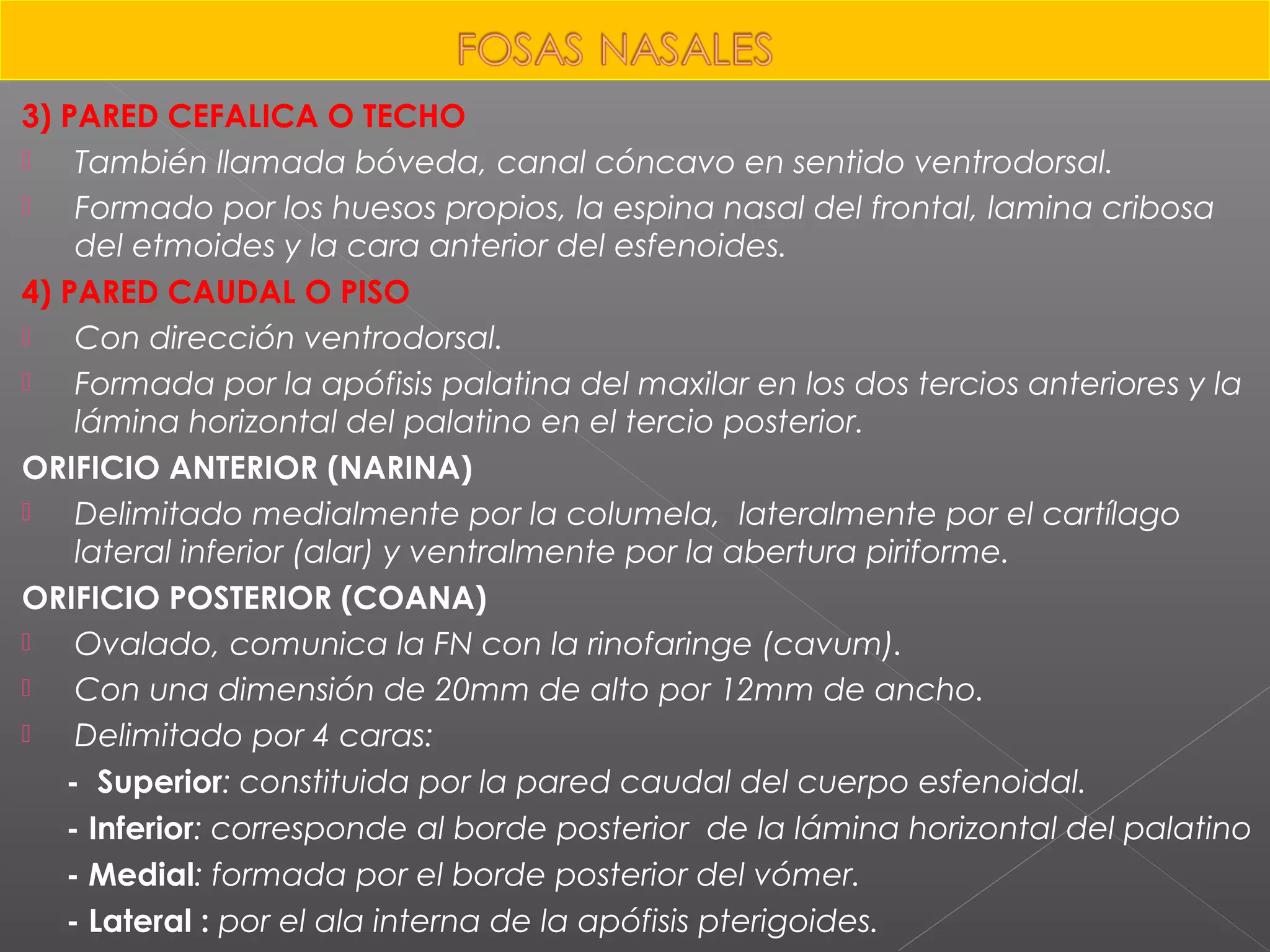 Anatomia de las fosas nasales y senos paranasales | PPT