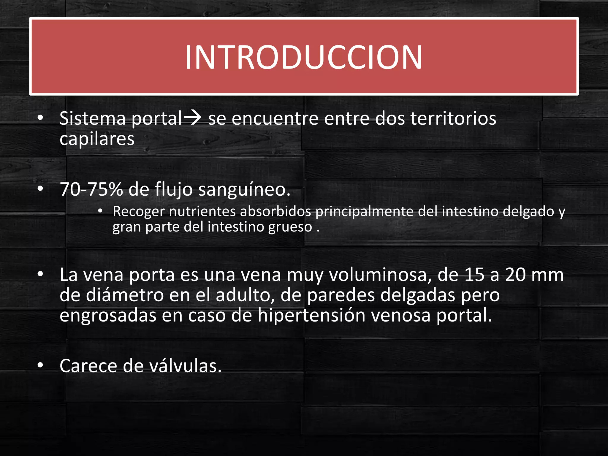 Anatomia de la vena porta