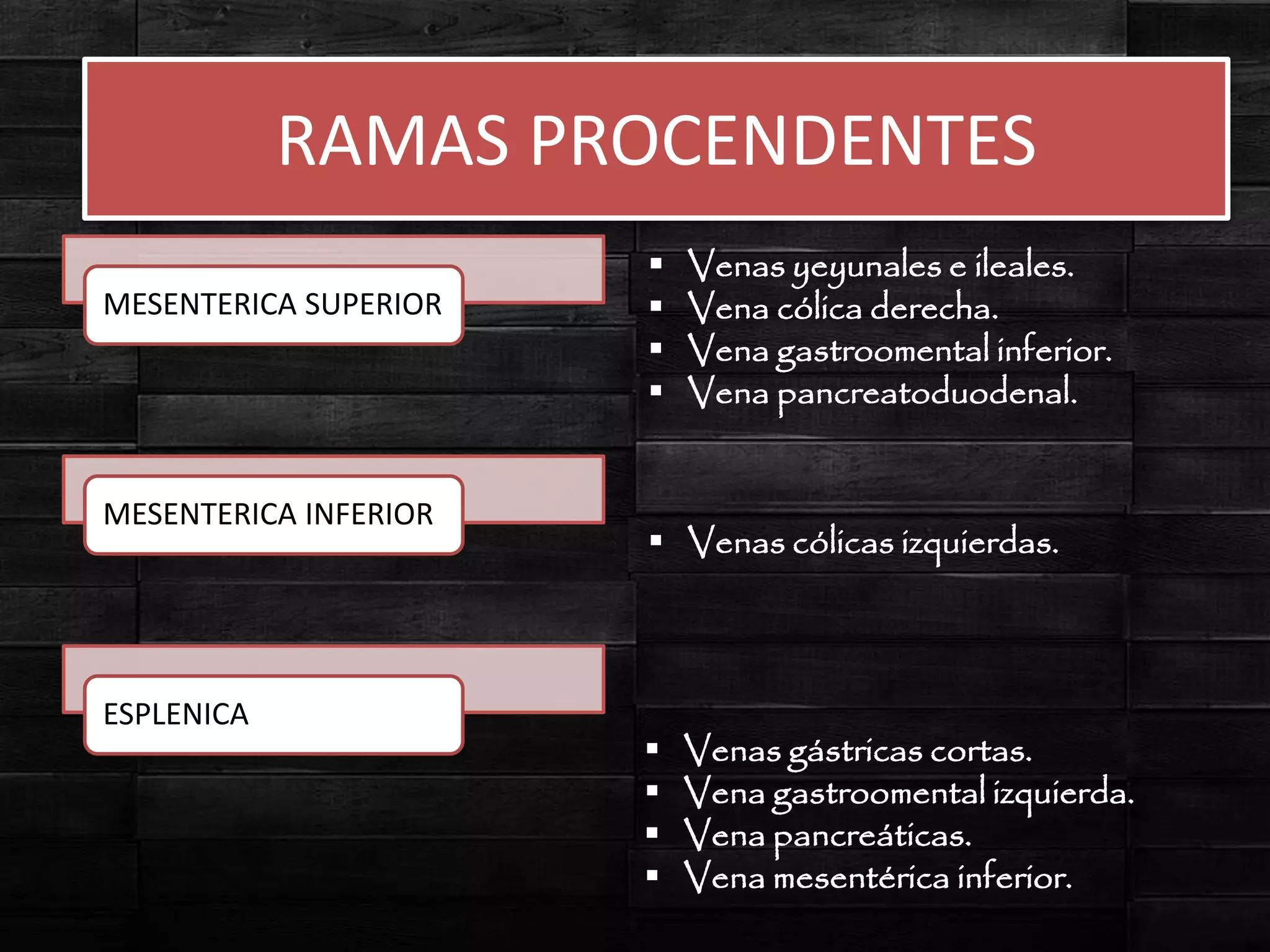 Anatomia de la vena porta