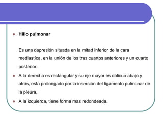 Anatomia de la via aerea | PPTX