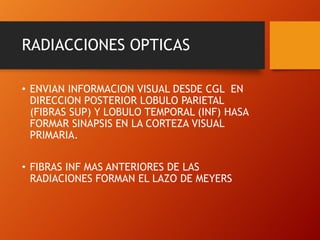 Anatomia de la via visual | PPTX