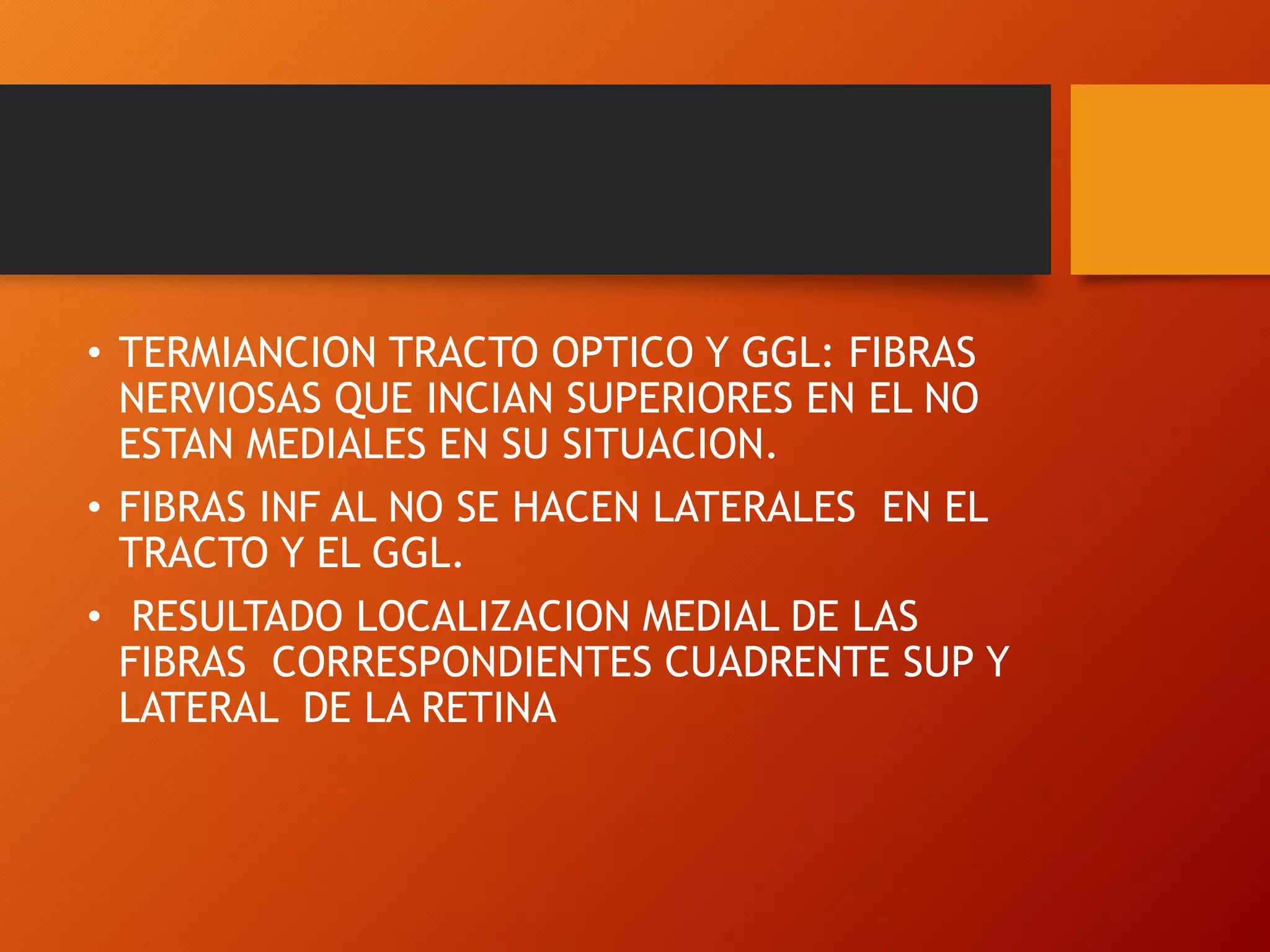 Anatomia de la via visual | PPT