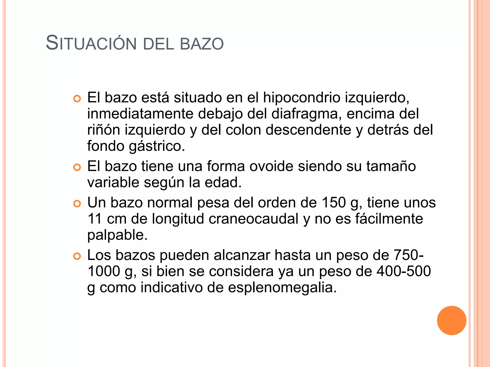 Anatomia del bazo | PPTX | Blood Disorders | Diseases and Conditions