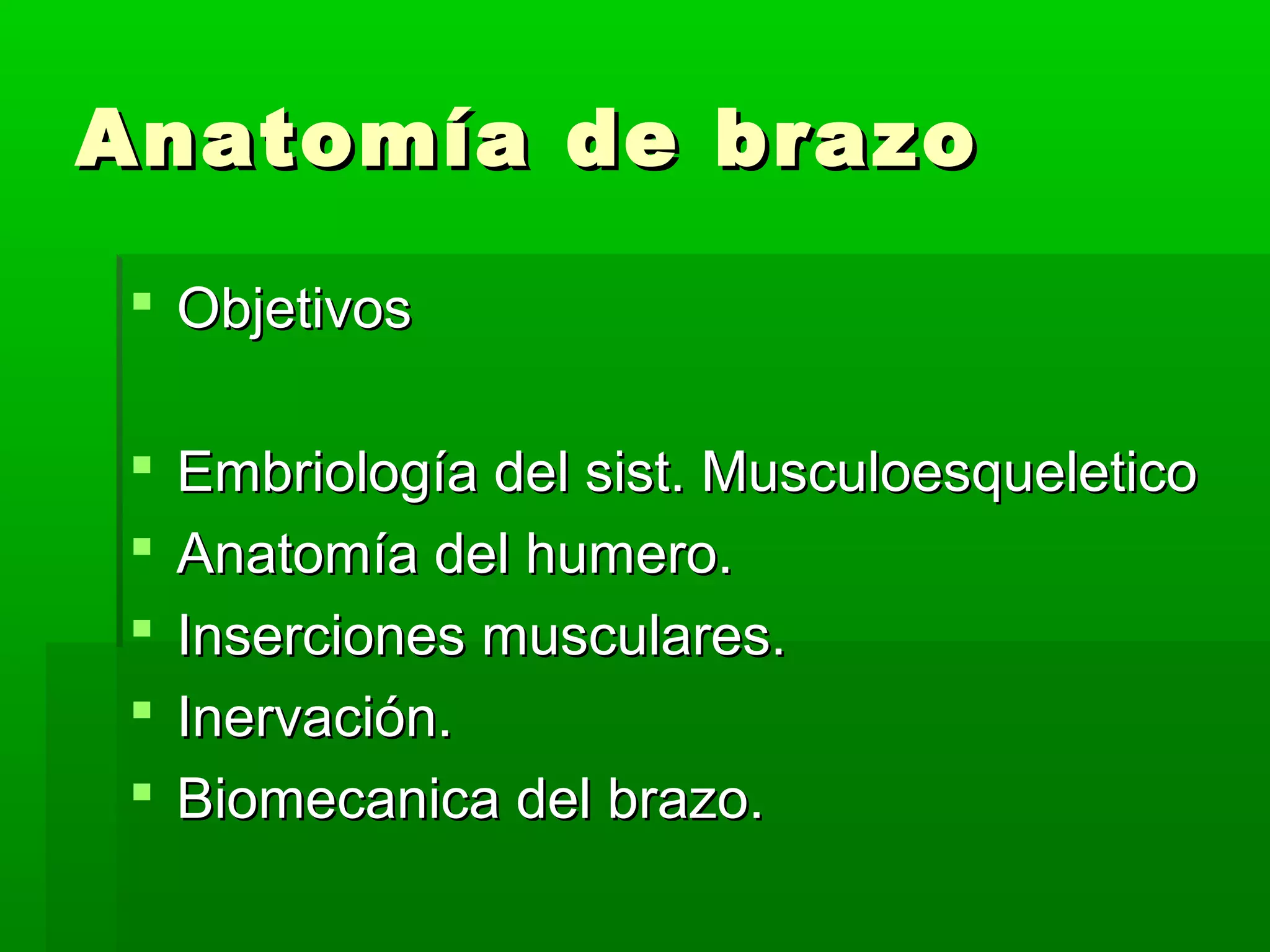Anatomia del brazo | PPT