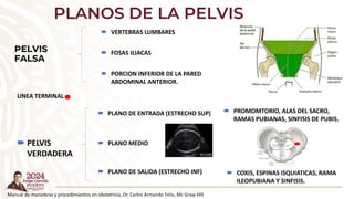 ANATOMIA DEL CANAL DE PARTO GINECOLOGIA. | PPTX