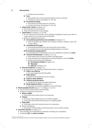 Anatomia del cerebro.pdf