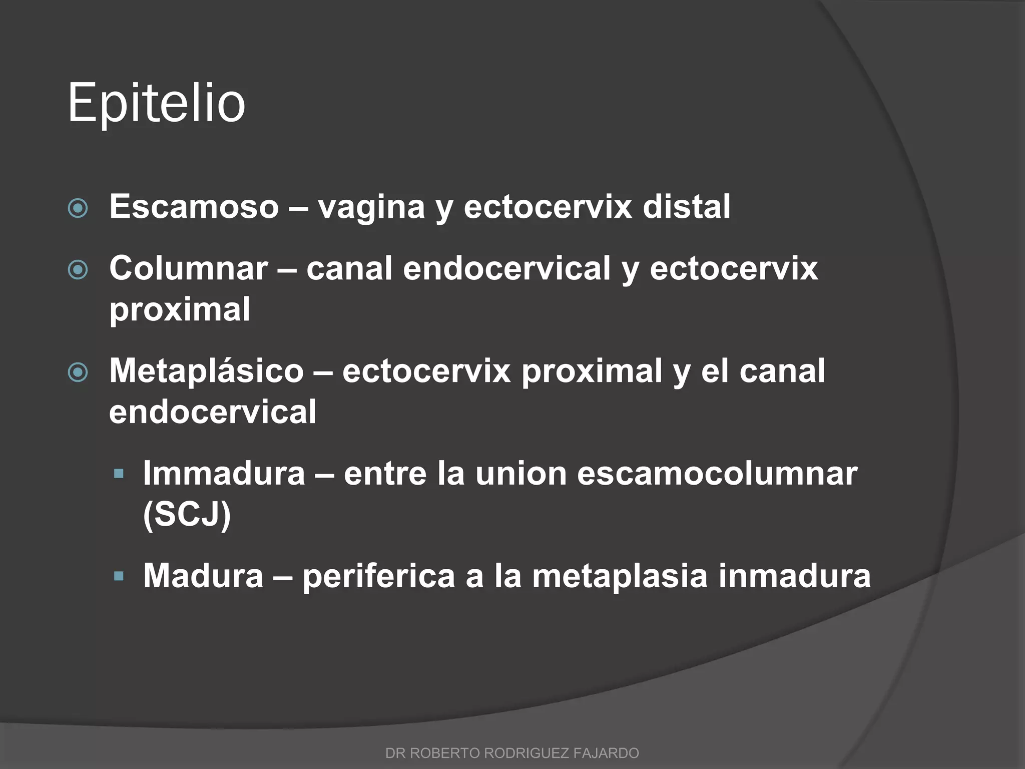Anatomía del cervix | PDF