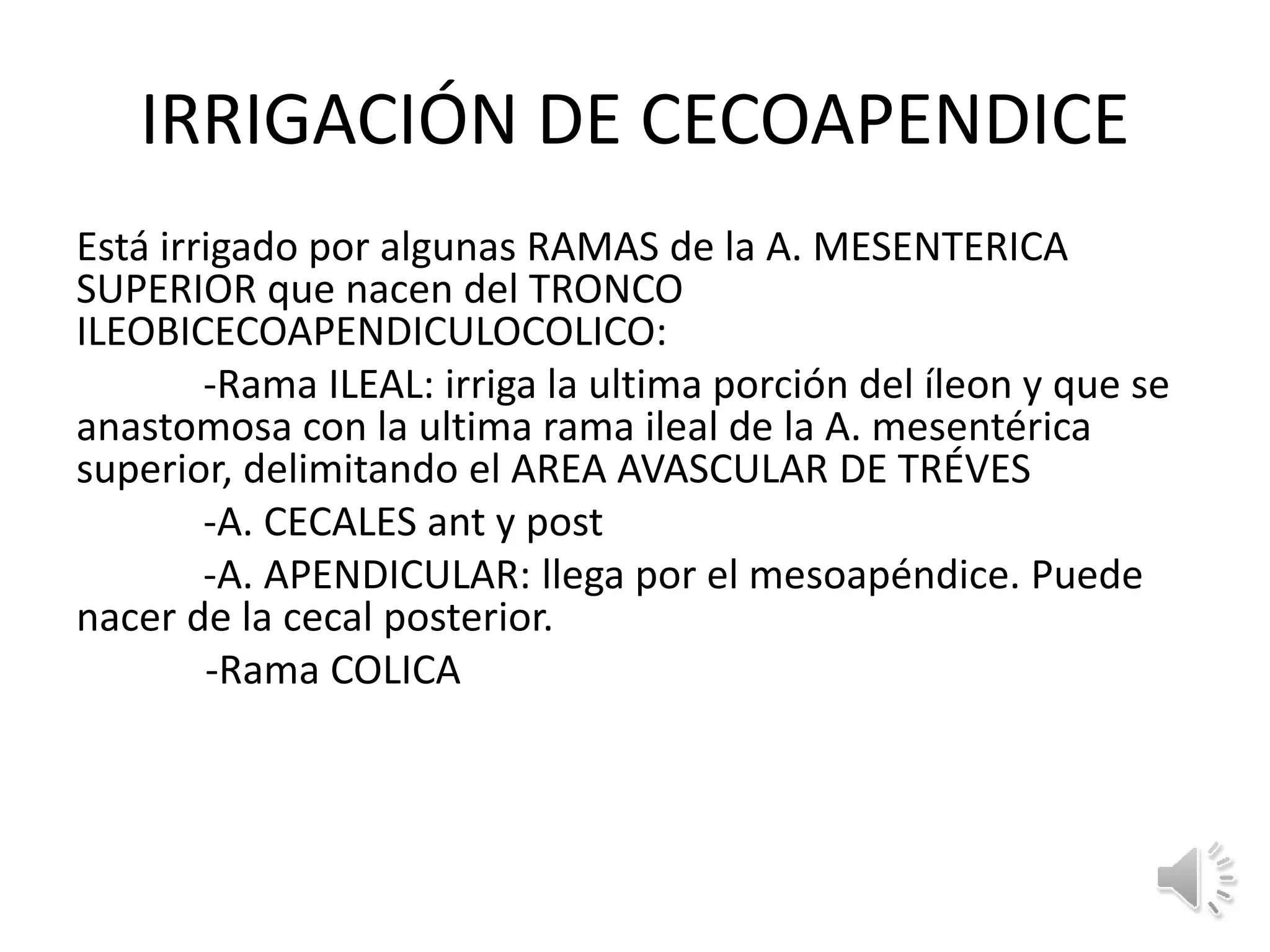 Anatomia del colon (1).pptx
