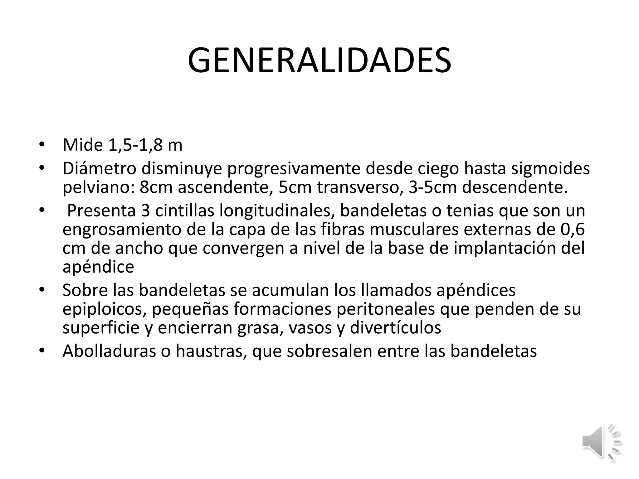 Anatomia del colon (1).pptx