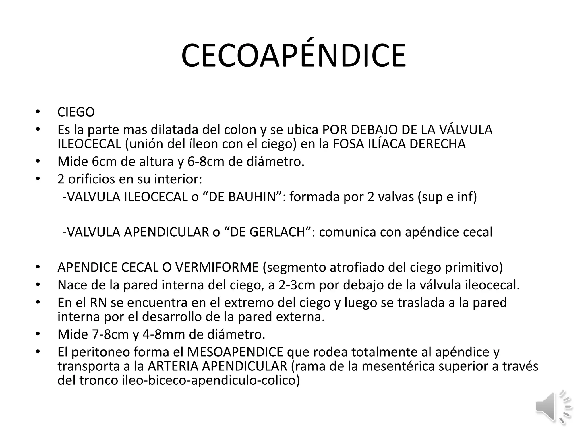Anatomia del colon (1).pptx