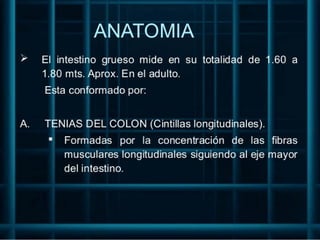 Anatomia del colon y Enfermedad Inflamatoria del Intestino.pdf