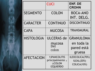 Anatomia del colon y Enfermedad Inflamatoria del Intestino.pdf