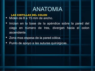 Anatomia del colon y Enfermedad Inflamatoria del Intestino.pdf