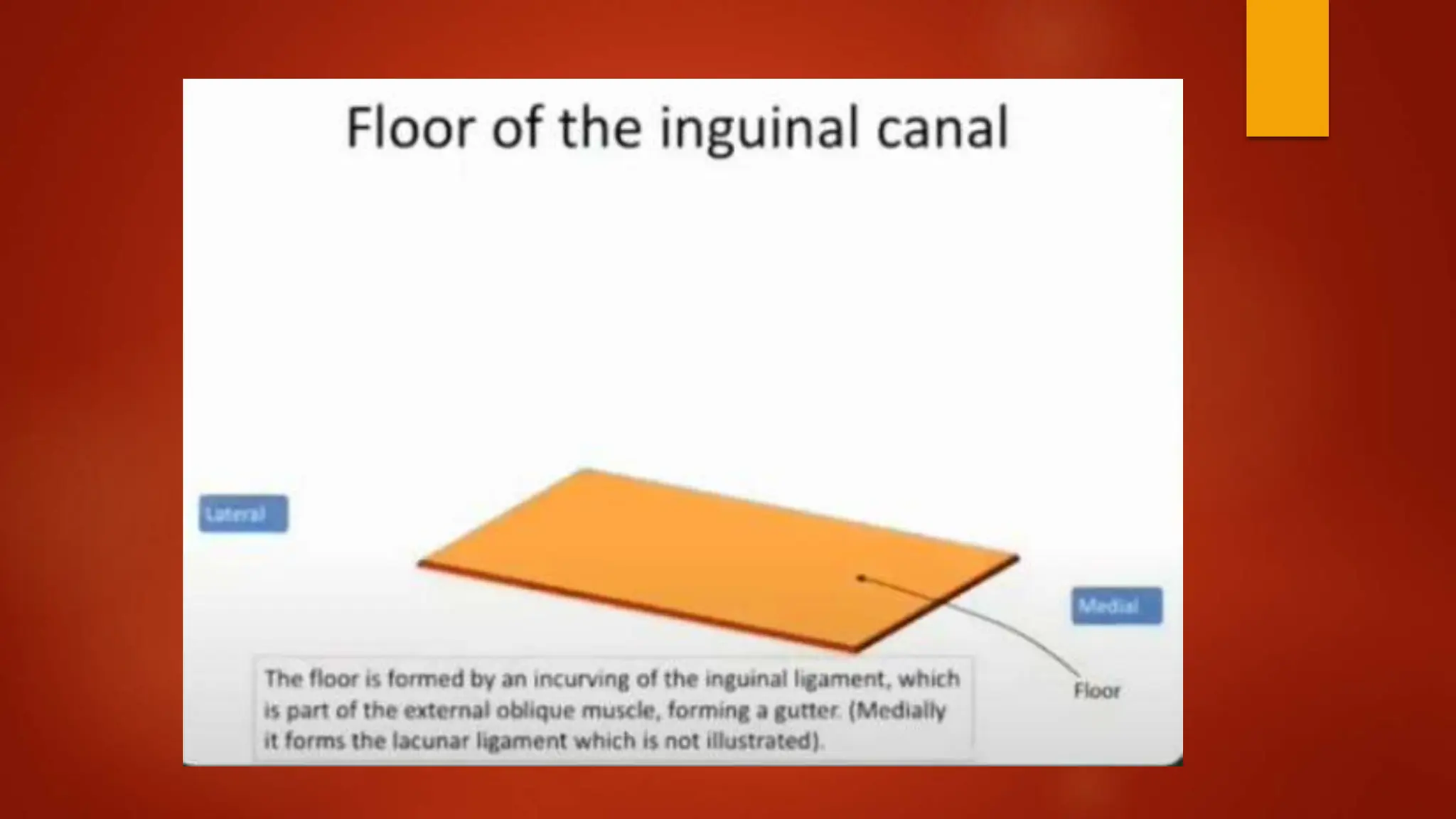 ANATOMIA DEL CONDUCTO INGUINAL COMPLETO.pptx